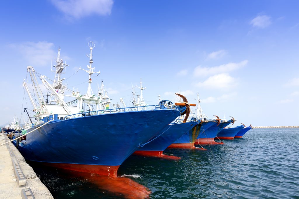 Our Fleet – Graham Shipping